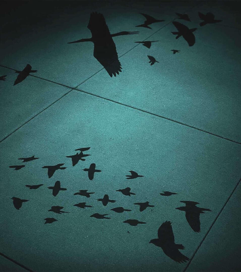 Downtown Hackensack Luminous Passage: Night Migration